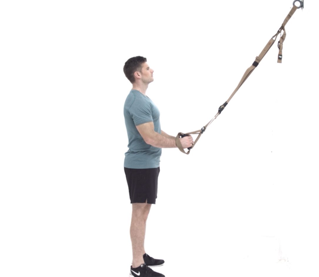 How to perform the Low Row - Physitrack